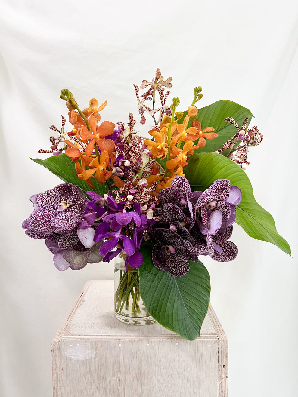 Orkit – AUNTIEMAKEFLOWER | Auntie make, you buy